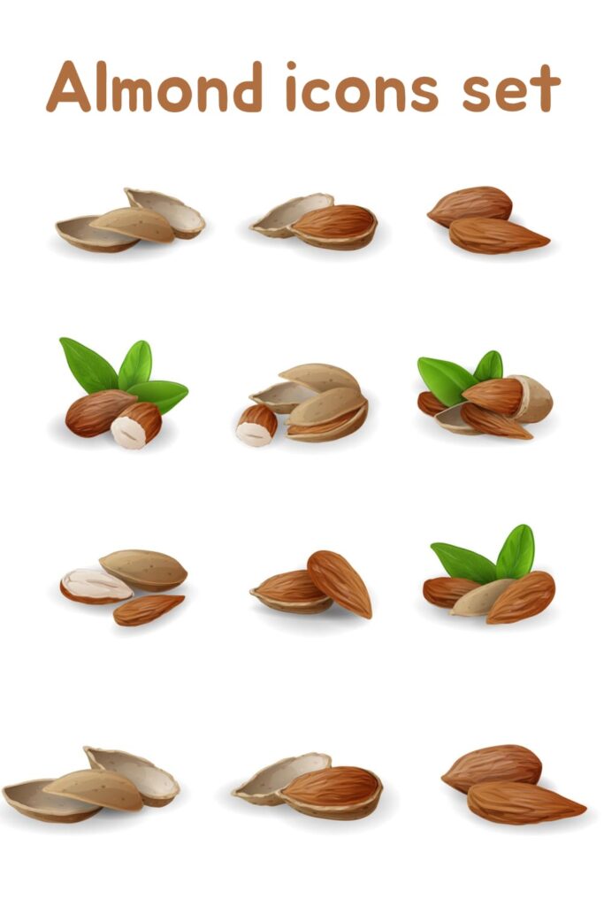 Almond Icons Set, Cartoon Style – MasterBundles