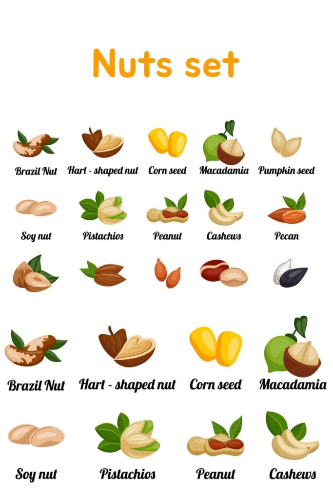 Nuts Set. Peanut and Almond, Pistachio with Leaves, Cashew – MasterBundles