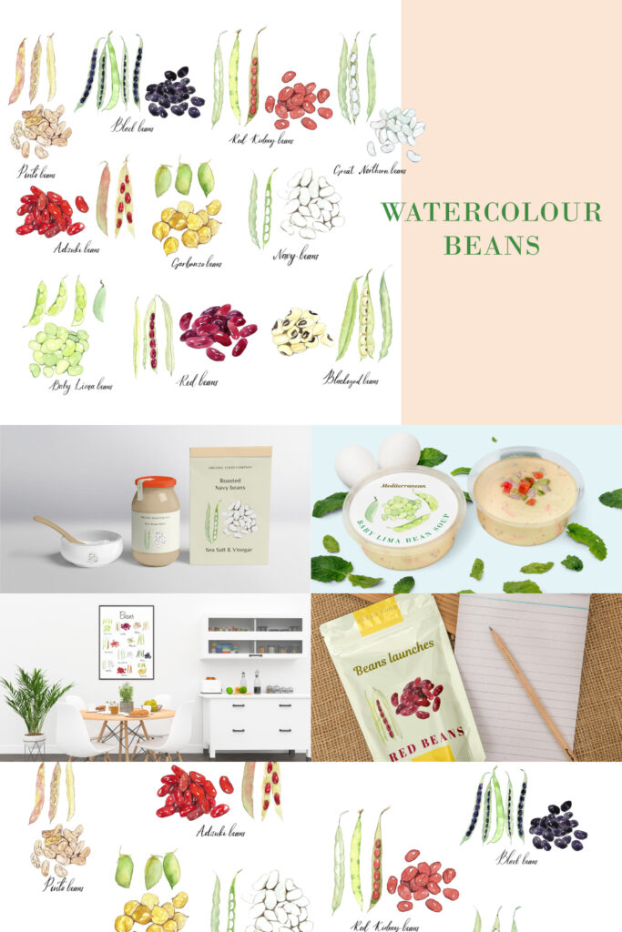 Watercolour Beans Illustration, PNG – MasterBundles