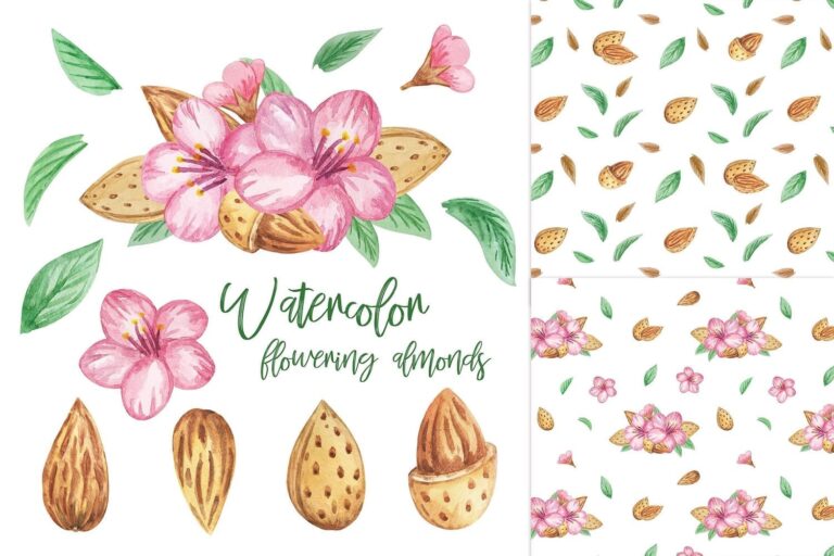 Watercolor Almonds Nuts Clipart, Nuts Seamless Pattern – MasterBundles