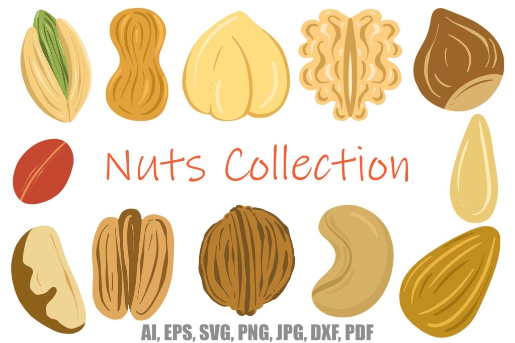 Collection Nuts and Seeds Brazil Walnut Cashew Pecan Almond – MasterBundles