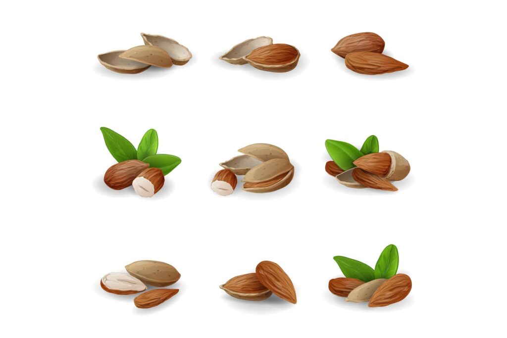 Almond Icons Set, Cartoon Style – MasterBundles