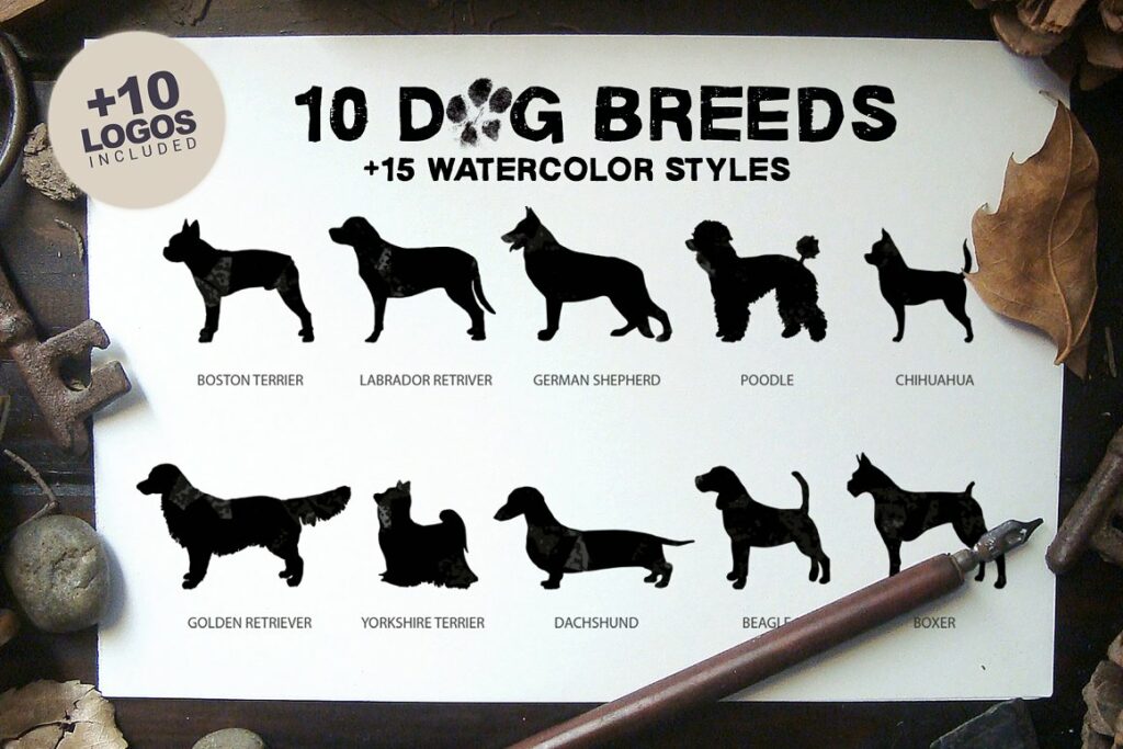 10 Dog Breeds Logos Design + Bonus – MasterBundles