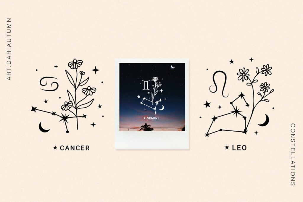 Zodiac Constellations With Flowers – MasterBundles