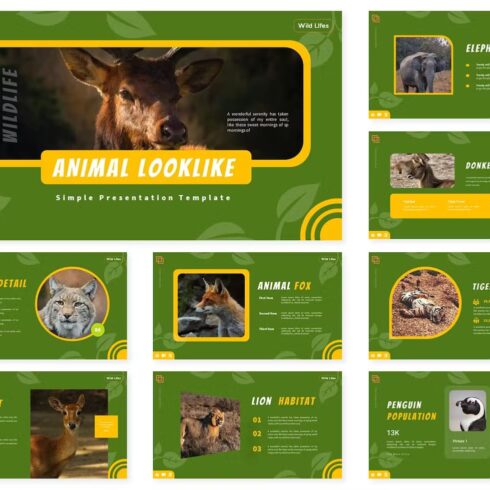 Animal Looklike | Google Slides Template – MasterBundles