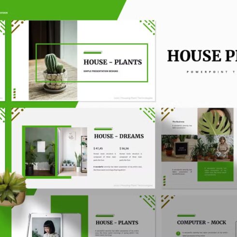 House Plants Google Slides Template | Master Bundles