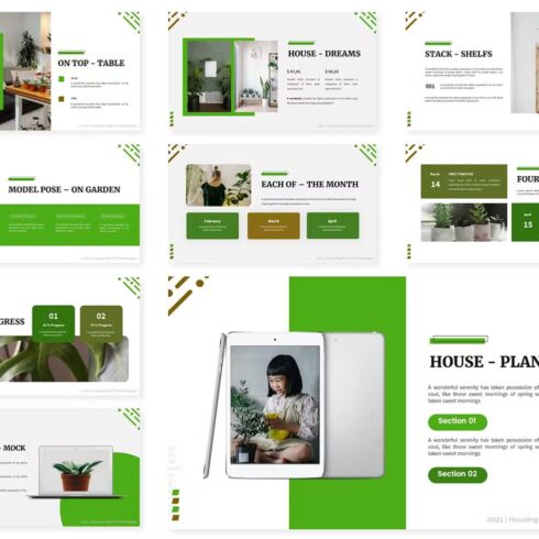 House Plants PowerPoint Template | MasterBundles