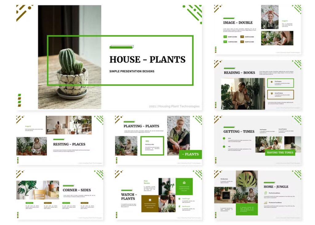 House Plants Google Slides Template – MasterBundles
