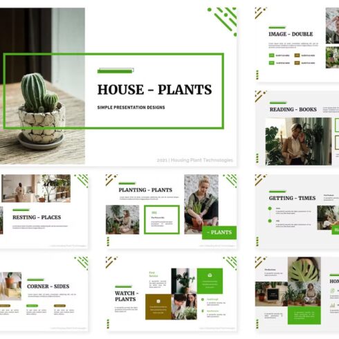 House Plants Google Slides Template | Master Bundles