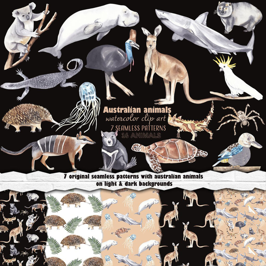 Australian Animals Clipart and Pattern – MasterBundles