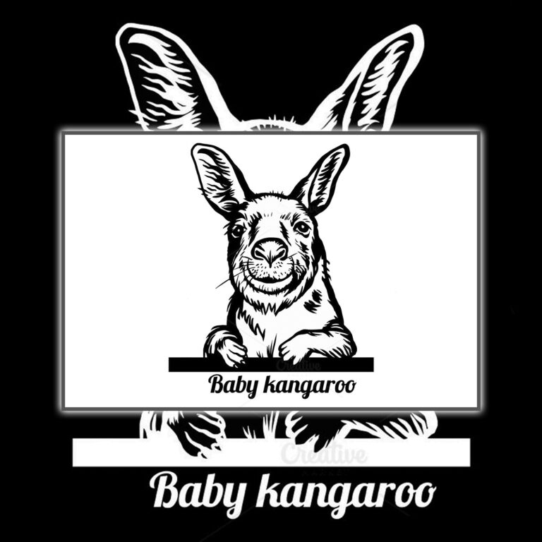Baby Kangaroo Animal Face Vector – MasterBundles