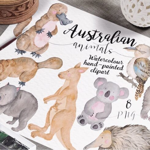 Australian Animals Watercolor Set – MasterBundles