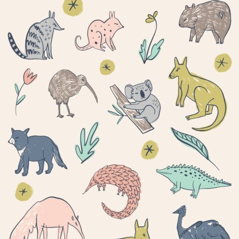 Australian Animals Bundle | MasterBundles