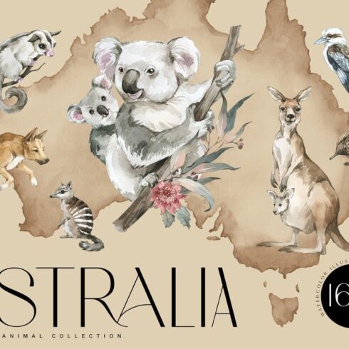 AUSTRALIA Flora and Fauna collection