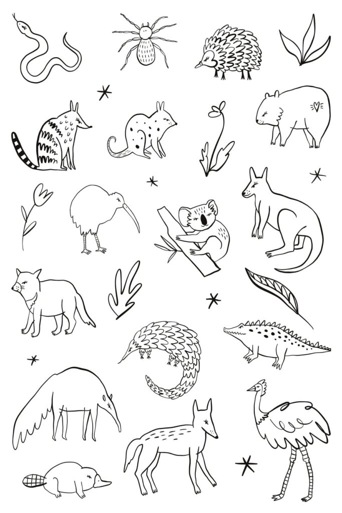 Australian Animals Bundle – MasterBundles