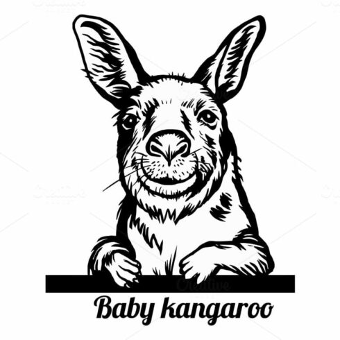 Baby Kangaroo Animal Face Vector | Master Bundles