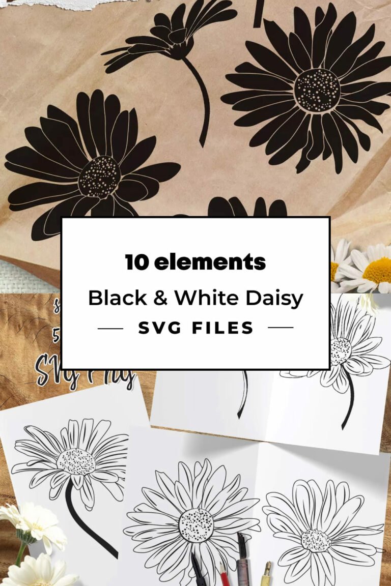 Black & White Daisy SVG Files – MasterBundles