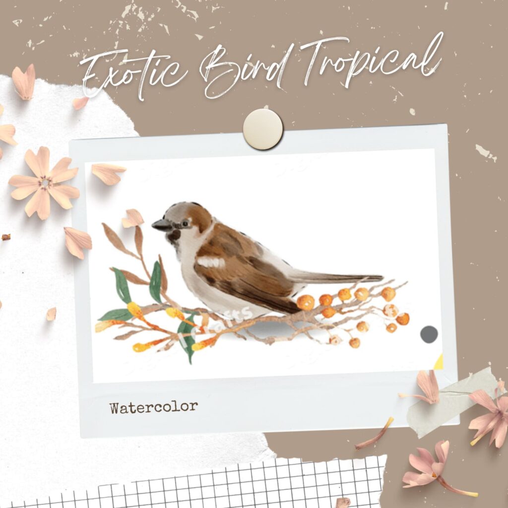 Watercolor Exotic Tropical Bird – MasterBundles
