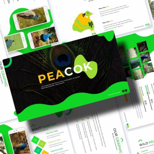 Peacock | Powerpoint Template – MasterBundles