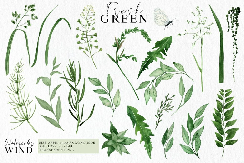 Watercolor Greenery Clipart, Plants – MasterBundles