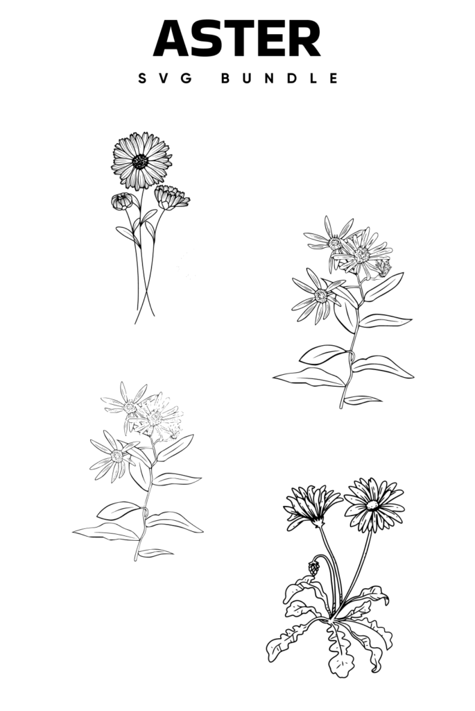 Aster SVG Designs – MasterBundles