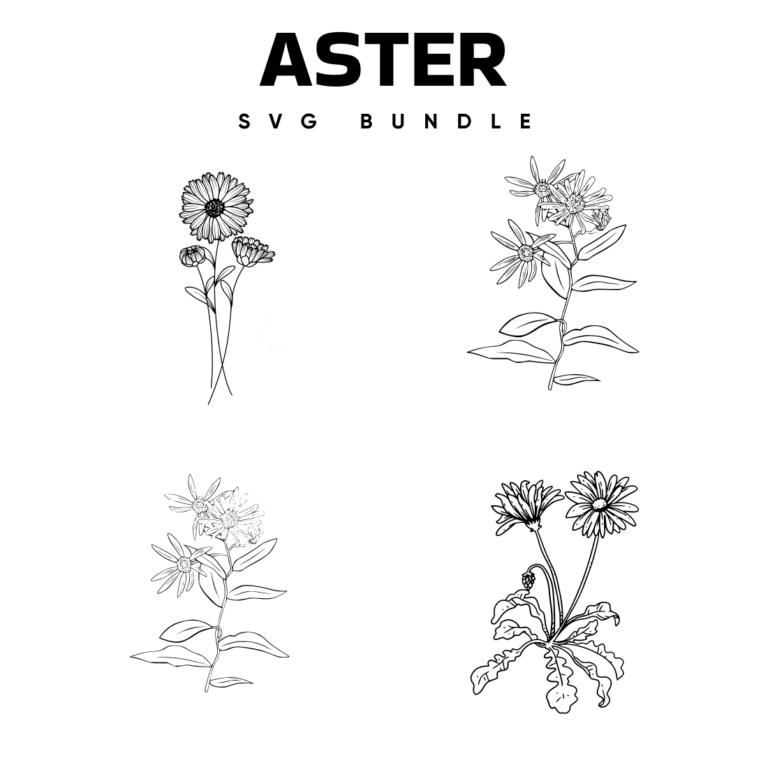 Aster SVG Designs – MasterBundles