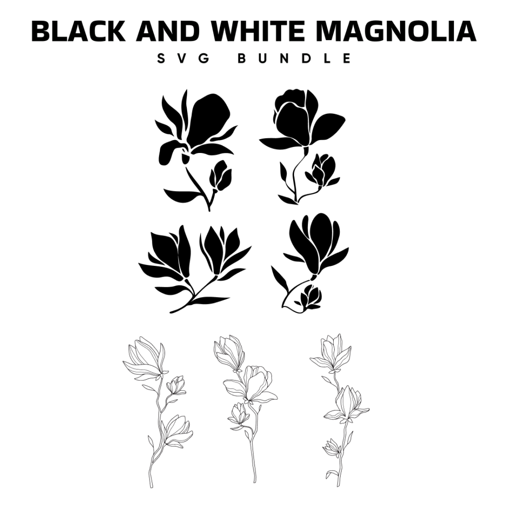Black And White SVG Magnolia – MasterBundles