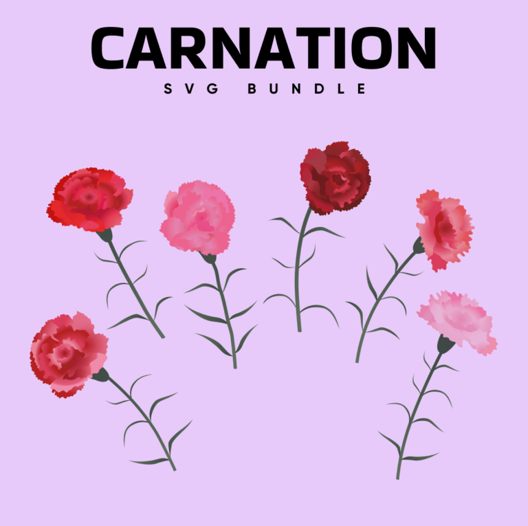 Carnation SVG Designs – MasterBundles
