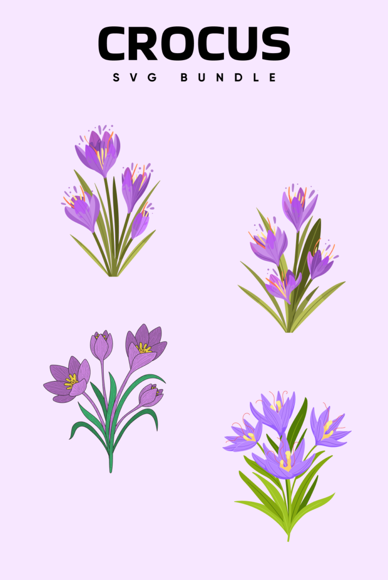 Crocus SVG Designs – MasterBundles