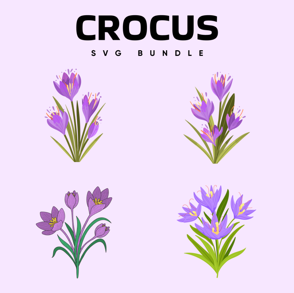 Crocus SVG Designs – MasterBundles