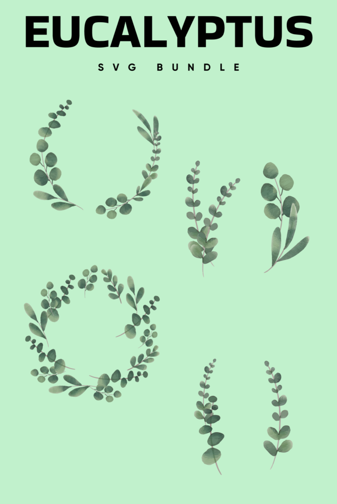 Eucalyptus SVG Free – MasterBundles