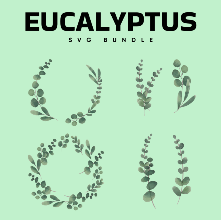Eucalyptus SVG Free – MasterBundles