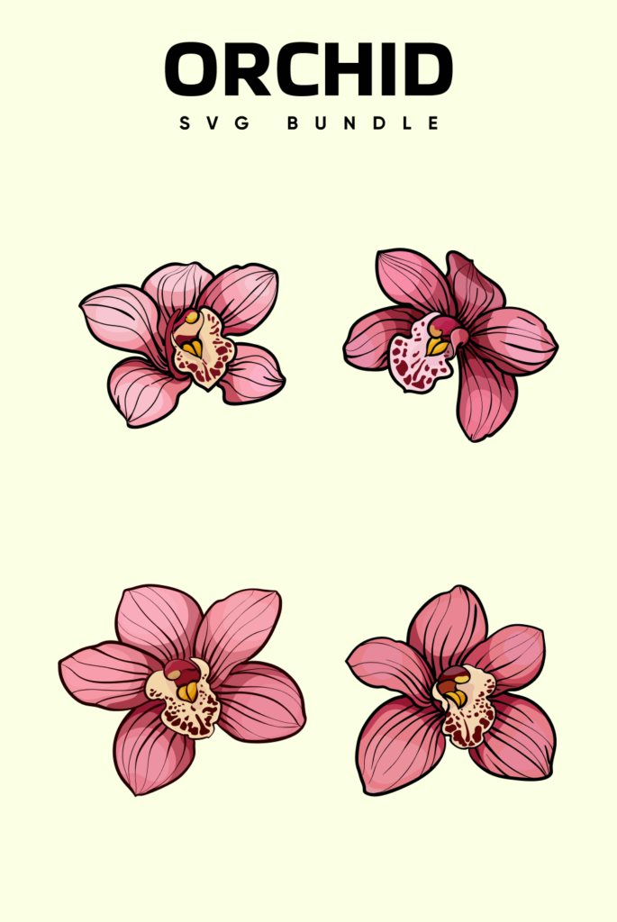 Orchid SVG Designs – MasterBundles