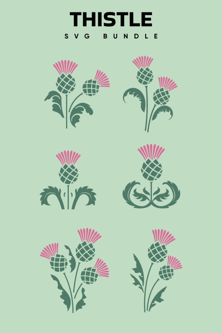 Thistle SVG Designs – MasterBundles