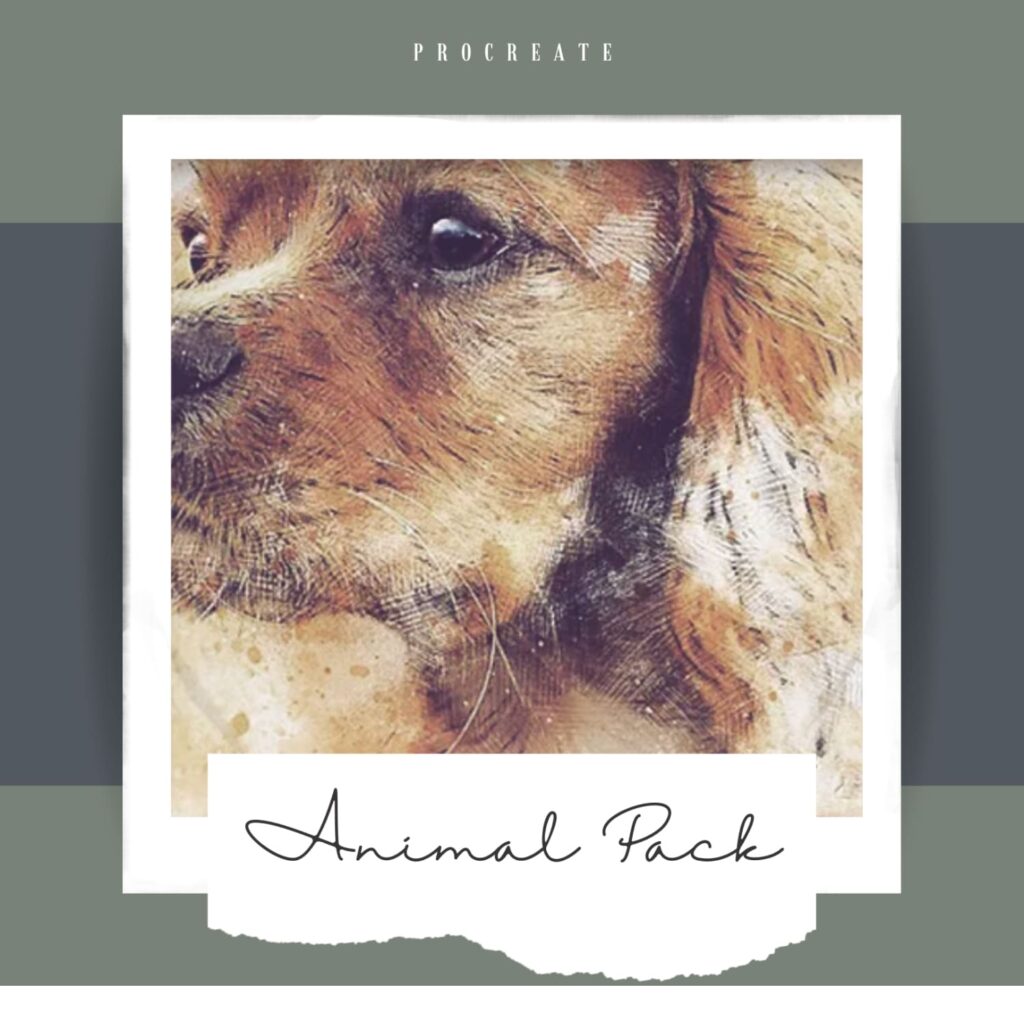 Procreate Animal Pack! – MasterBundles