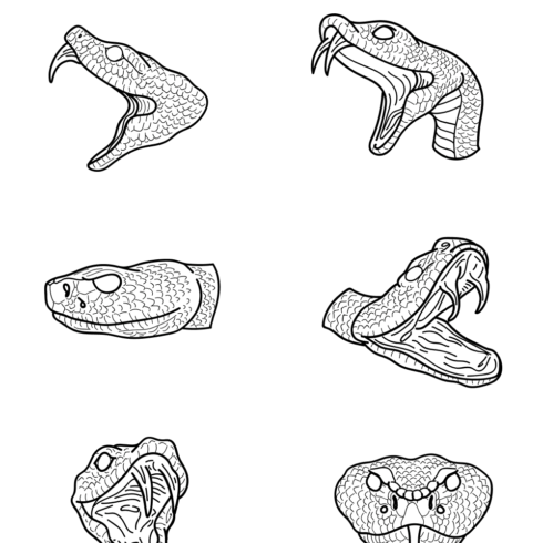 Cute Snake SVG | MasterBundles