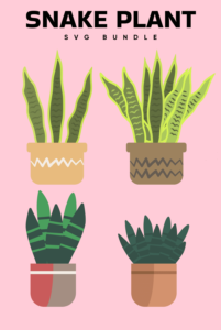 Snake Plant SVG – MasterBundles