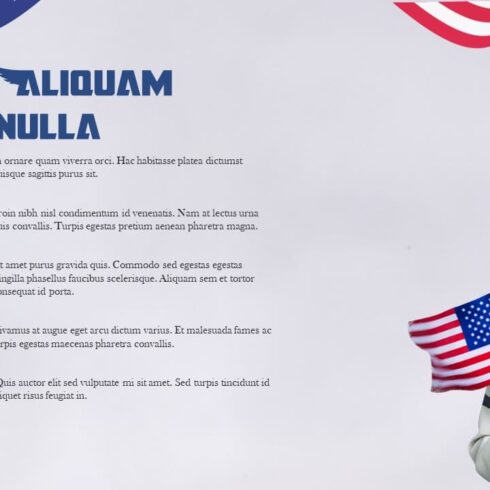 US History Powerpoint | Master Bundles