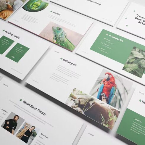 Zoo Powerpoint Template | MasterBundles