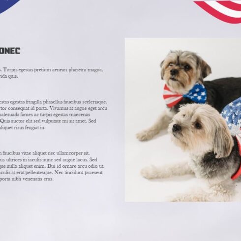 US History Powerpoint | Master Bundles