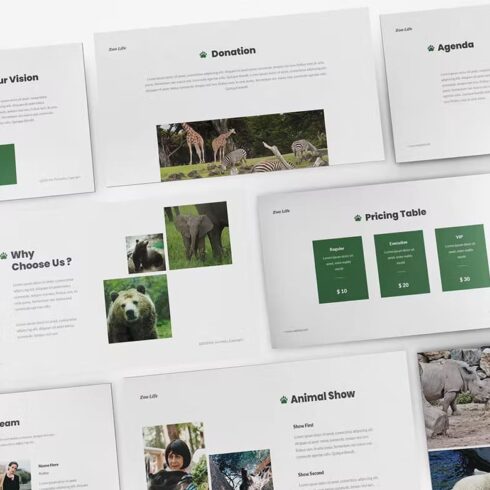 Zoo Powerpoint Template | MasterBundles