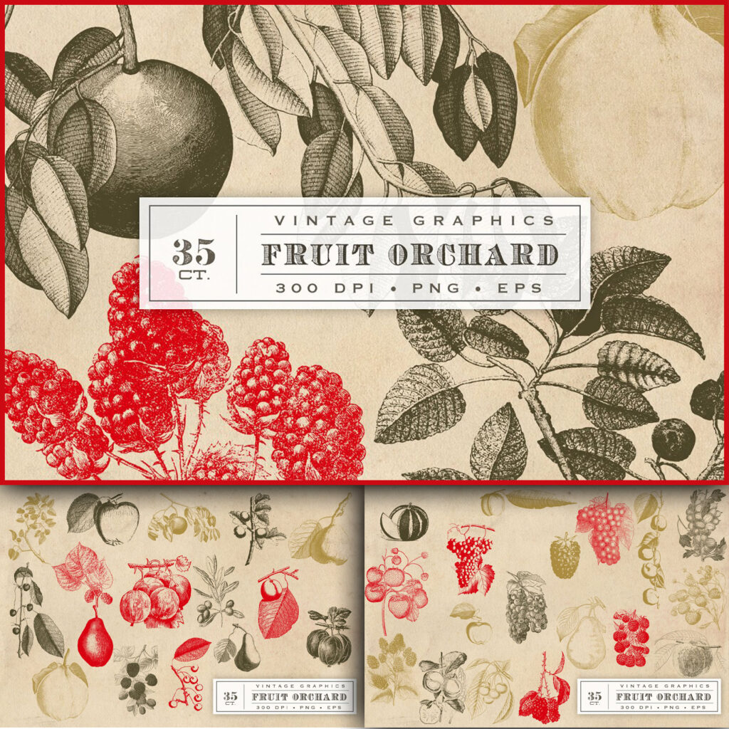 Vintage Circus Graphics – MasterBundles