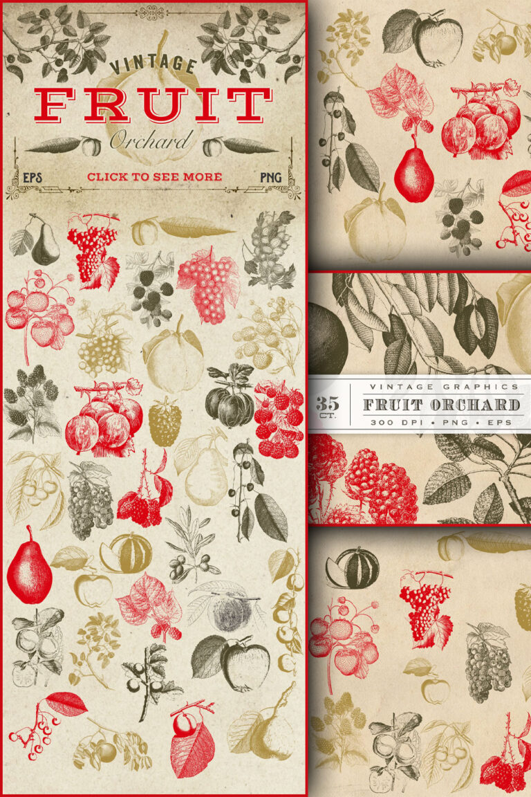 Vintage Fruit Vector Graphics – MasterBundles