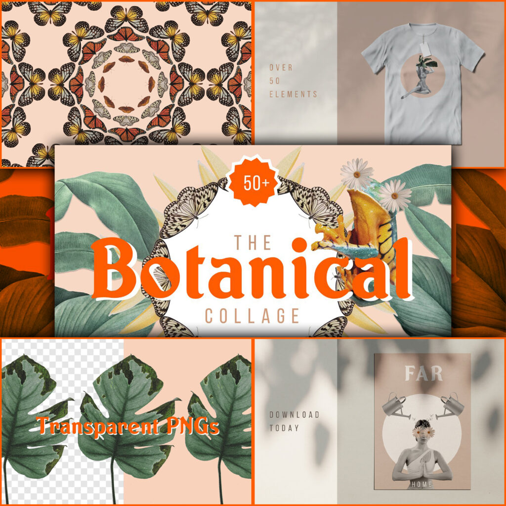 Botanical Collage Art Maker Elements – MasterBundles
