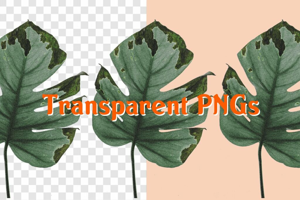 Botanical Collage Art Maker Elements – MasterBundles