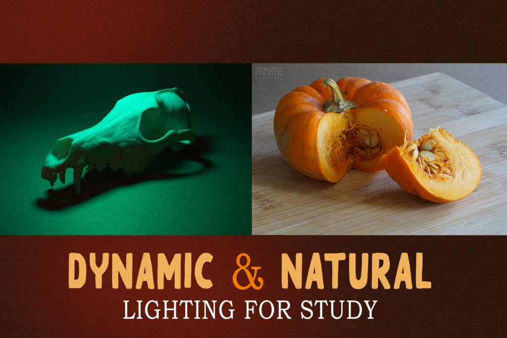 Autumn Themed Still Life Reference – MasterBundles