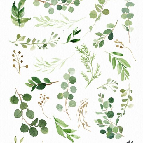 Watercolor Green Leaf Clip Art | MasterBundles