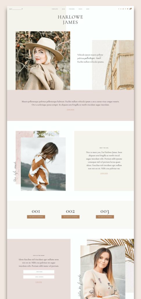Harlowe - Feminine WordPress Theme – MasterBundles