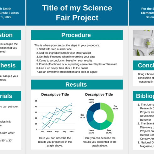 Science Fair Poster Template - Design For A 48x36" Display Board ...