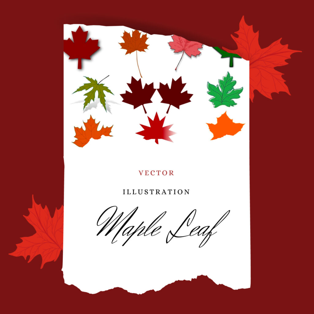 Maple Leaf Vector Illustration – MasterBundles